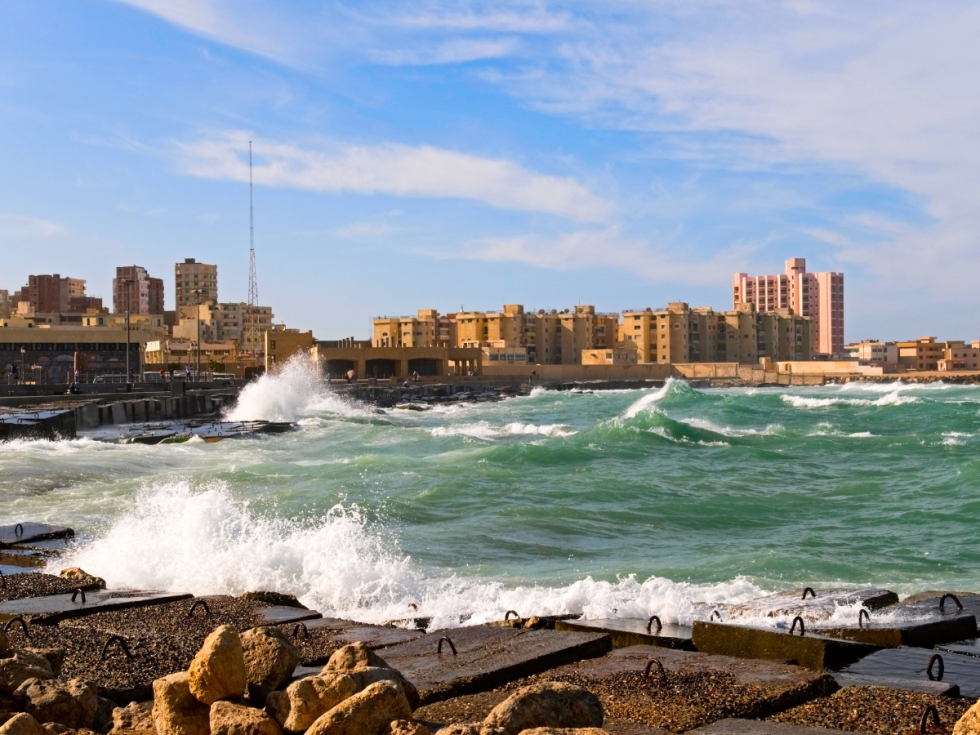 About - LP Egypt